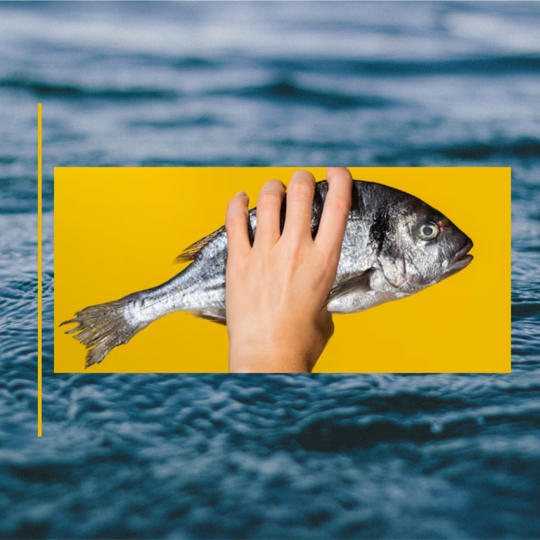 Neue „Guter Fisch“-Liste: Welchen Fisch kann man noch essen? | Ökomarkt ...